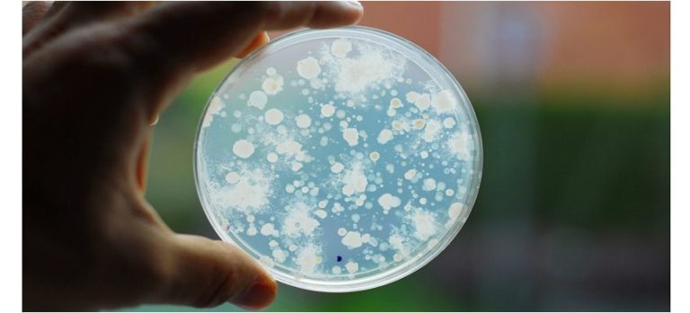 ANTABIO Raises € 7.3M Series A Financing to Develop Novel Treatments ...