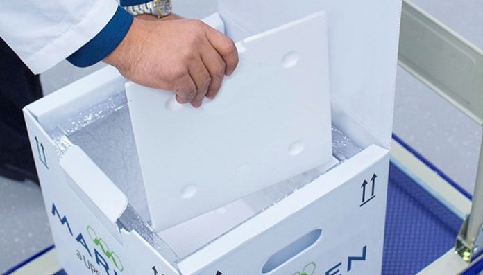Innovations Enhancing Cold Chain Packaging Solutions In 2024 | World ...